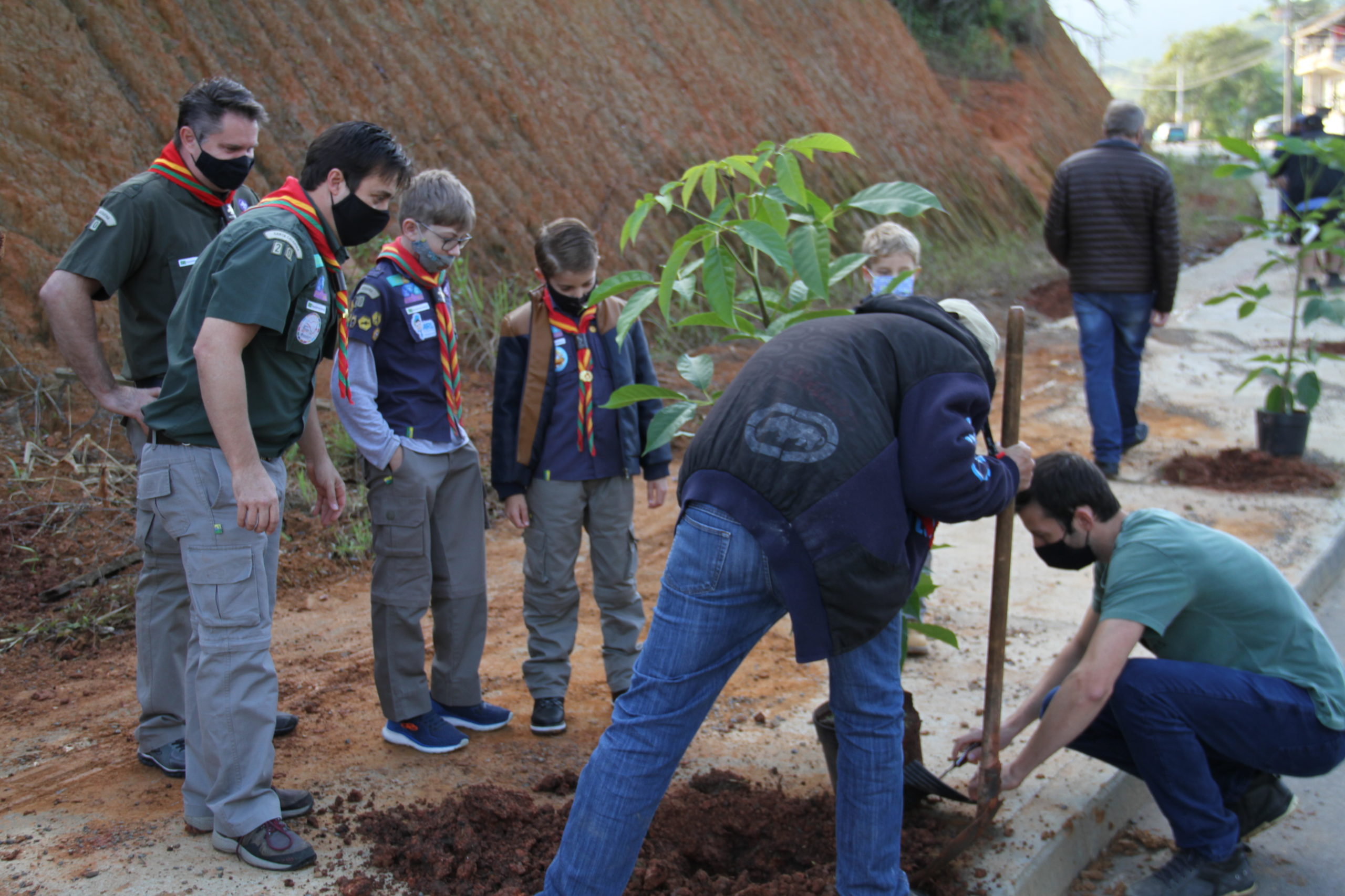 SAMAE e Prefeitura de Timbó realizam plantios de mudas de Ipê na Rua ...